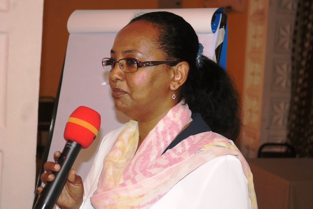 Workshop to Strengthen Implementation of Sentinel Surveillance System for Influenza in Liberia ...